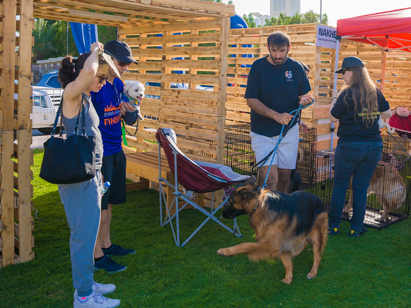 Pets’ Day Out at Jumeirah Village Triangle